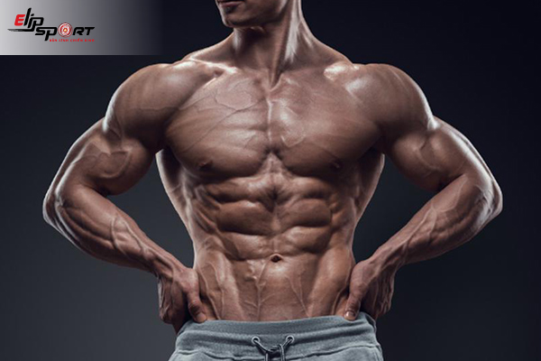 Tổng hợp những hình ảnh về ảnh 8 múi đẹp nhất trong năm